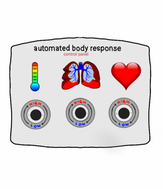 The Science Behind Fear and Anxiety | Dr Jena Field